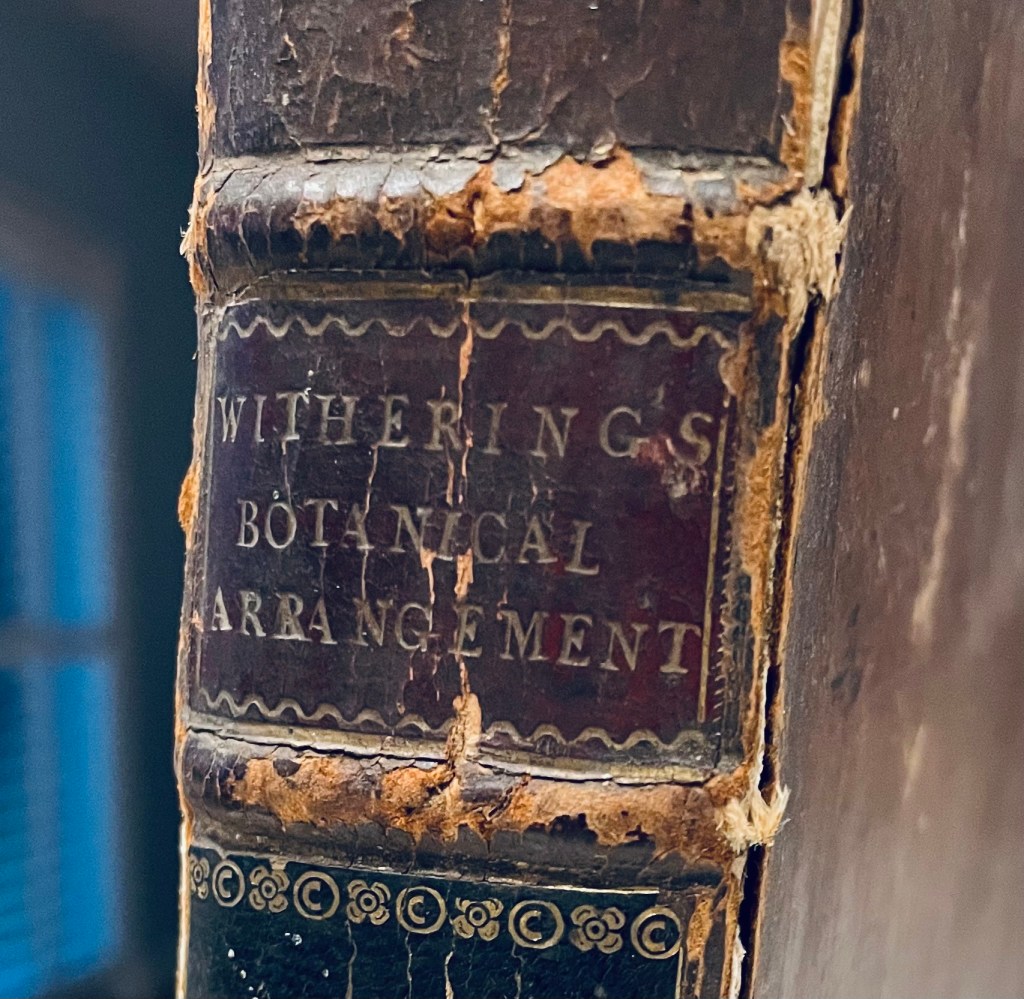 FLORA 250: Celebrating the genius of William Withering | Wellington H2A